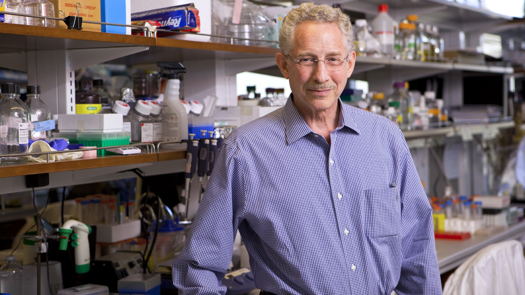 The Stavros Niarchos Foundation (SNF) Institute for Global Infectious ...